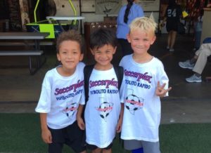 Dallas SoccerPlex – Dallas Premier Indoor Soccer